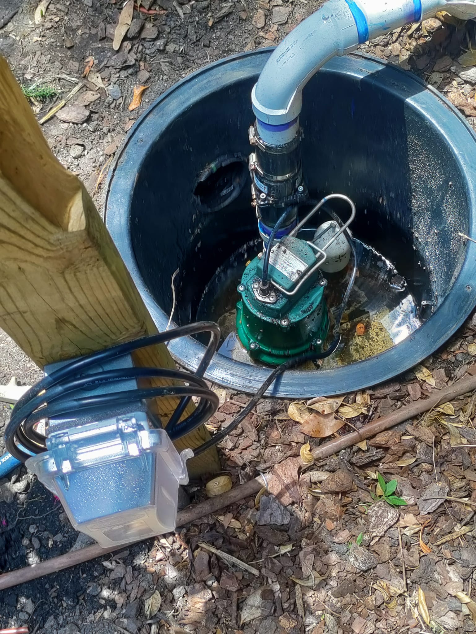 SERVICES – Santi Clean Up